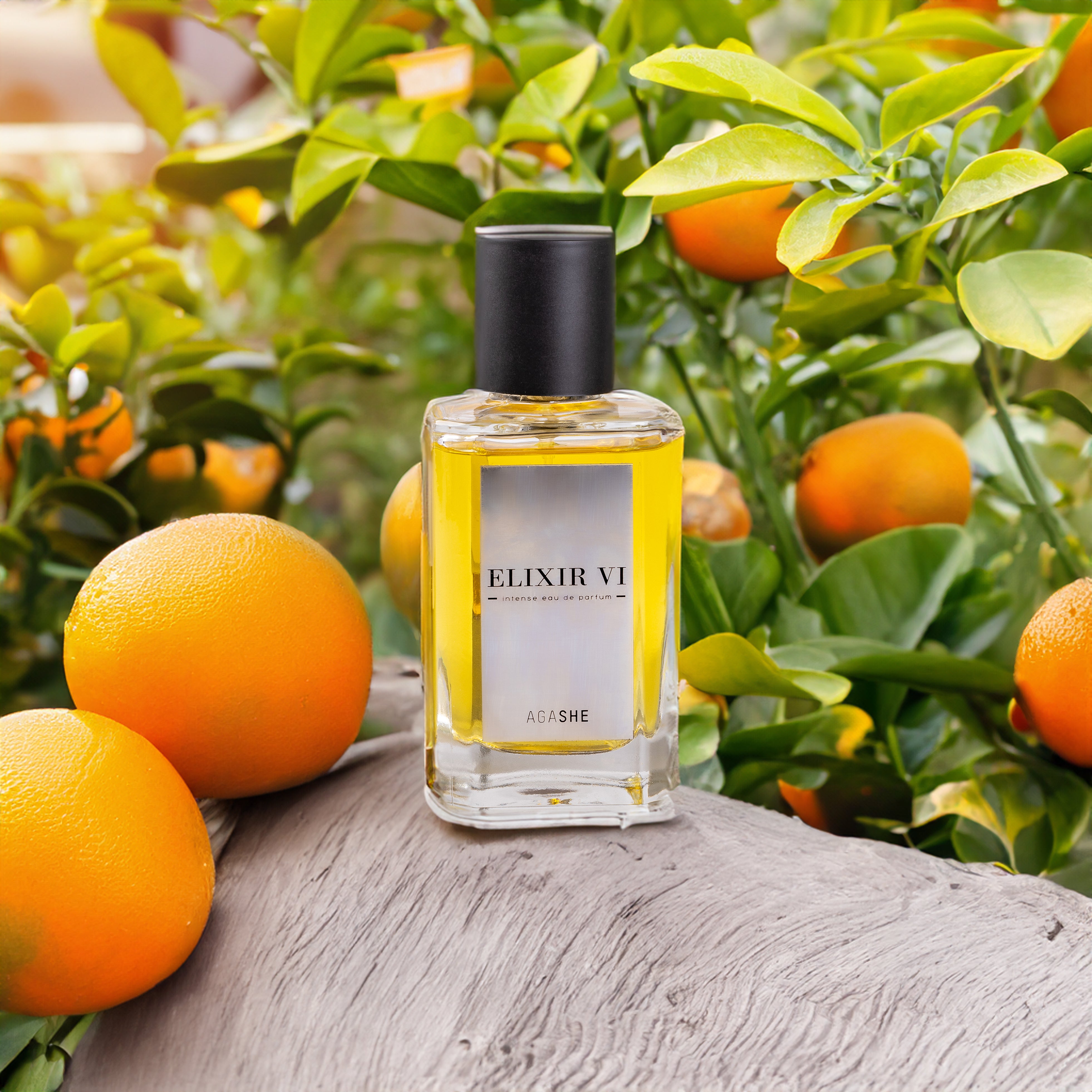 Elixir VI Perfume – Agashe Perfumery